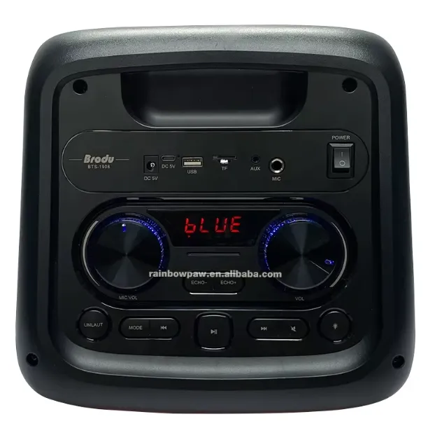 Brodu BTS-1908 Bluetooth Karaoke Speaker with Dual 8-Inch Speakers ...